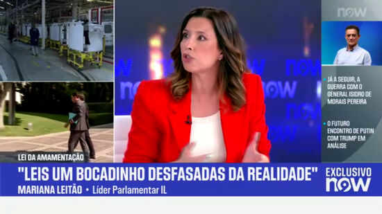 Programas - Now Canal