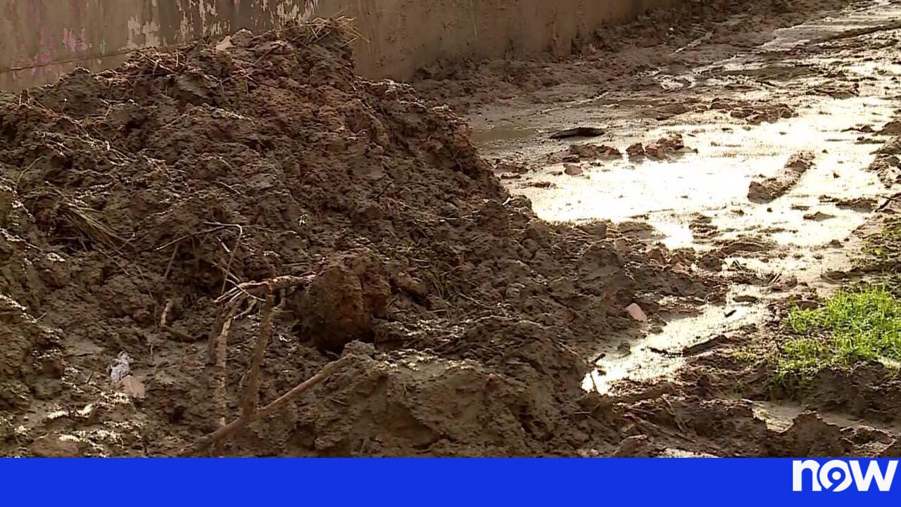 Mau Tempo: Setúbal contabiliza 50 milhões de euros em prejuízos ...